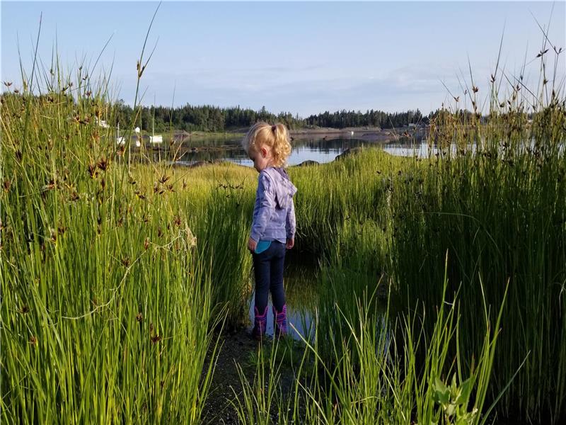 LE GRAND CHALET -- Metis Beach -- - Metis-sur-Mer Cottage Rental | GL ...