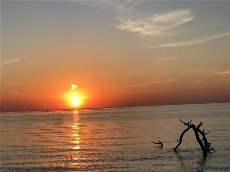 GRAND BEND Southcott Pines 3 - Grand Bend Cottage Rental | DI-28659 ...