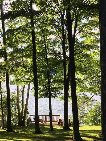 PEC Bay Dream Waterfront on Clear, - Picton Cottage Rental | DI-31064 ...