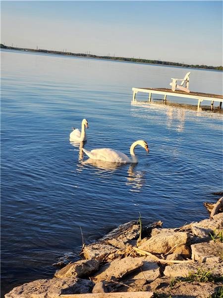 Hay Bay Lakehouse - 80' private - Napanee Cottage Rental | PL-36713 ...