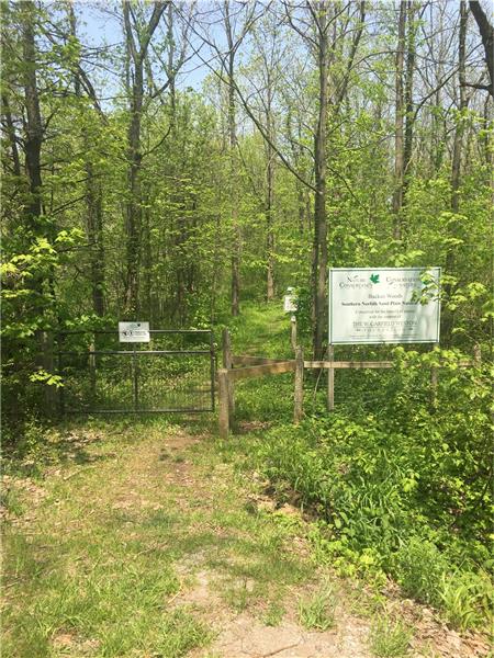 Cotes Du Rowan - Port Rowan Cottage Rental | DI-36752 | CottagesInCanada
