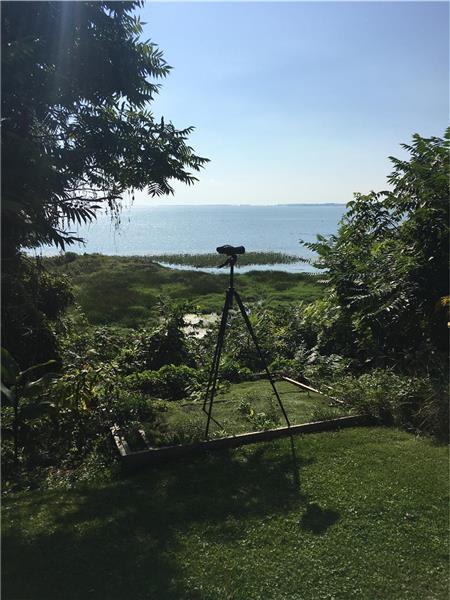 Cotes Du Rowan - Port Rowan Cottage Rental | DI-36752 | CottagesInCanada