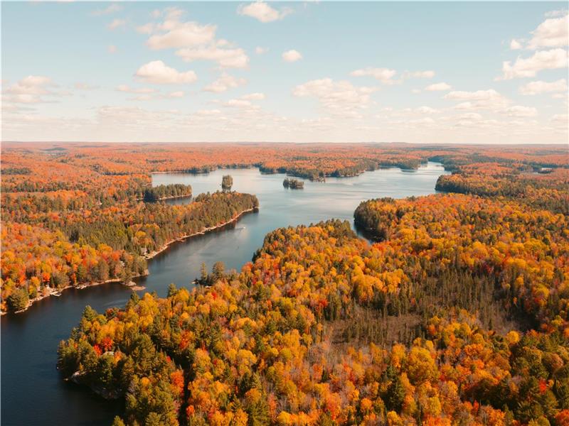 Premium Lake! Waterfront Private - Haliburton Cottage Rental | DI-36905 ...