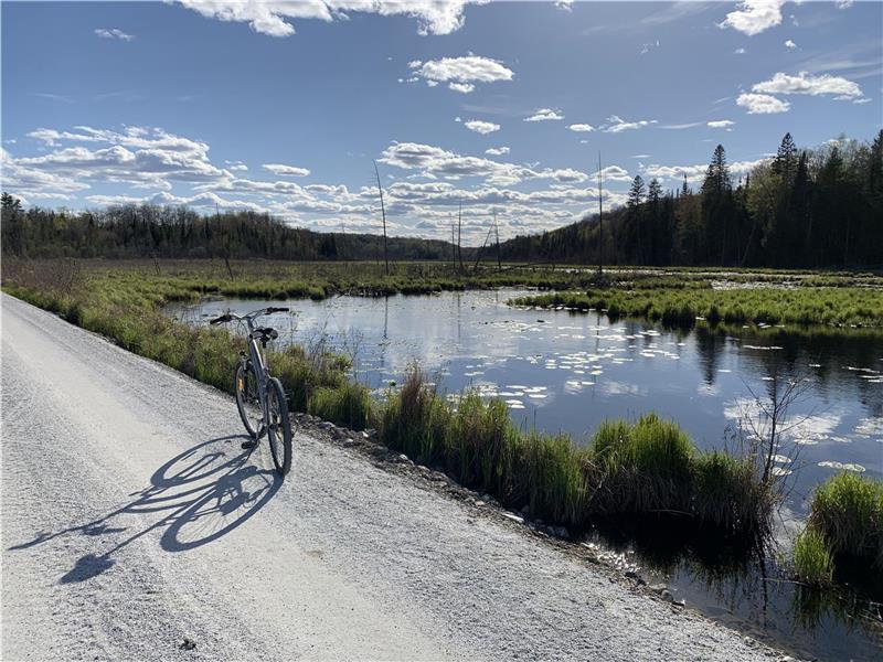 Clarendon Station - newly renovated - Clarendon Station Cottage Rental ...
