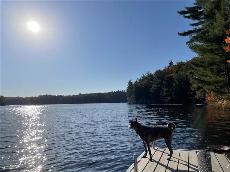 DOCKSIDE CABIN- RELAXING WATERFRONT - Parry Sound Cottage Rental | DI ...