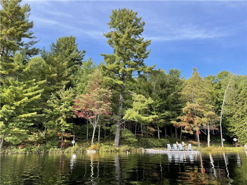 DOCKSIDE CABIN- RELAXING WATERFRONT - Parry Sound Cottage Rental | DI ...