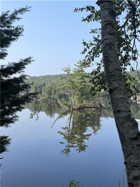 Birch Point on Haliburton Lake - Haliburton Cottage Rental | GL-39638 ...