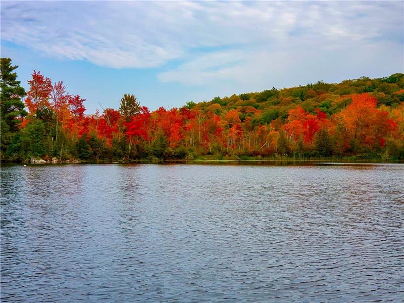 **SPECIAL OFFER IN DECEMBER** NOW - Arden Cottage Rental | PL-39991 ...